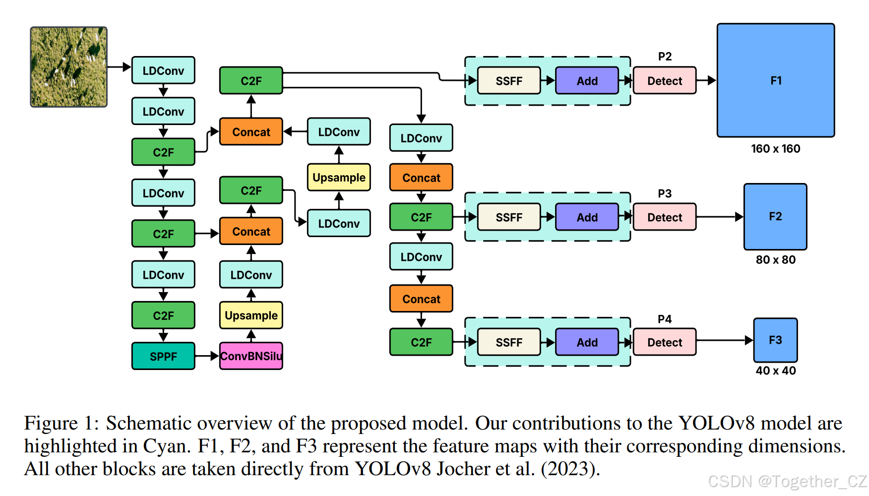 DEAL-YOLO: DRONE-BASED EFFICIENT ANIMAL LOCALIZATION USING YOLO——基于无人机的高效动物定位方法，采用 YOLO 算法_drone ...
