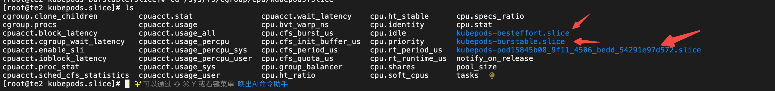 Koordinator 快速入门 (一)-CSDN博客