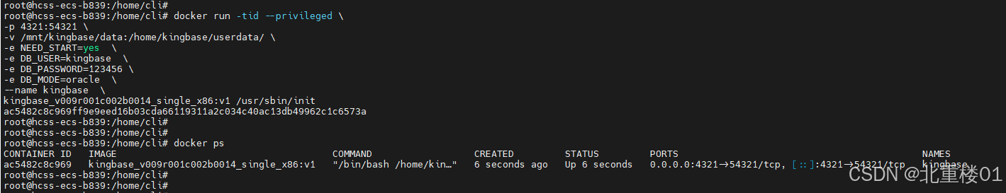 Docker部署金仓KingbaseES：5分钟极速体验_kingbase docker-CSDN博客