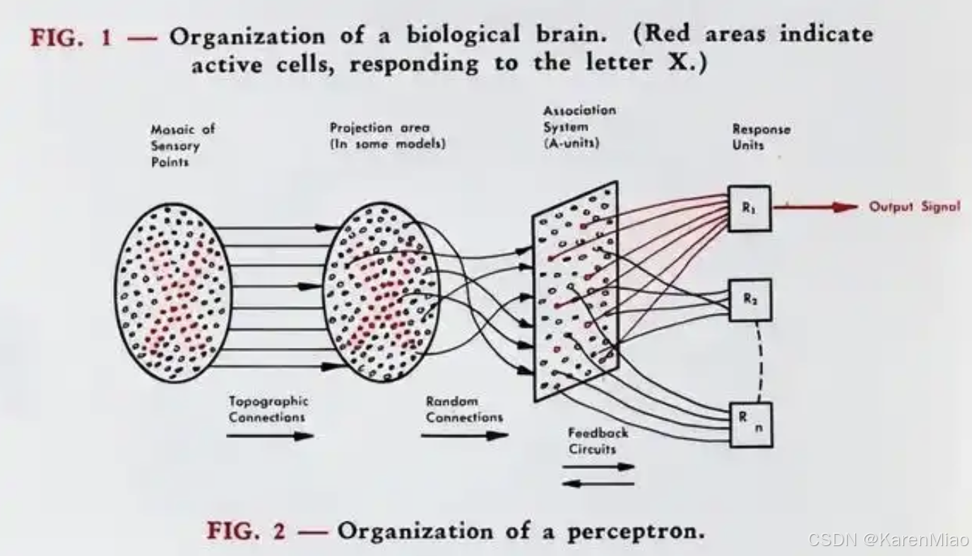 感知器的那些事_弗兰克·罗森布拉特-CSDN博客