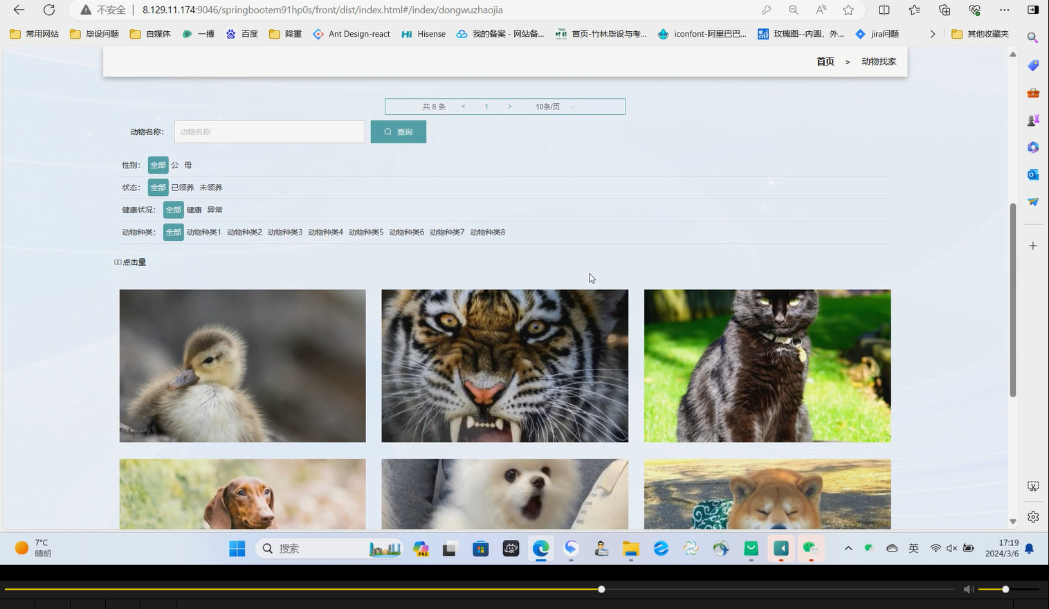基于SpringBoot+Vue的流浪动物管理系统管理系统设计与实现【Java+MySQL+MyBatis完整源码】-CSDN博客