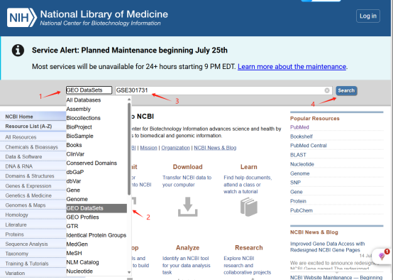 【R语言】——HDF5格式（.h5/.hdf5）单细胞转录组数据的下载与读取_r语言单细胞h5文件样本合并-CSDN博客