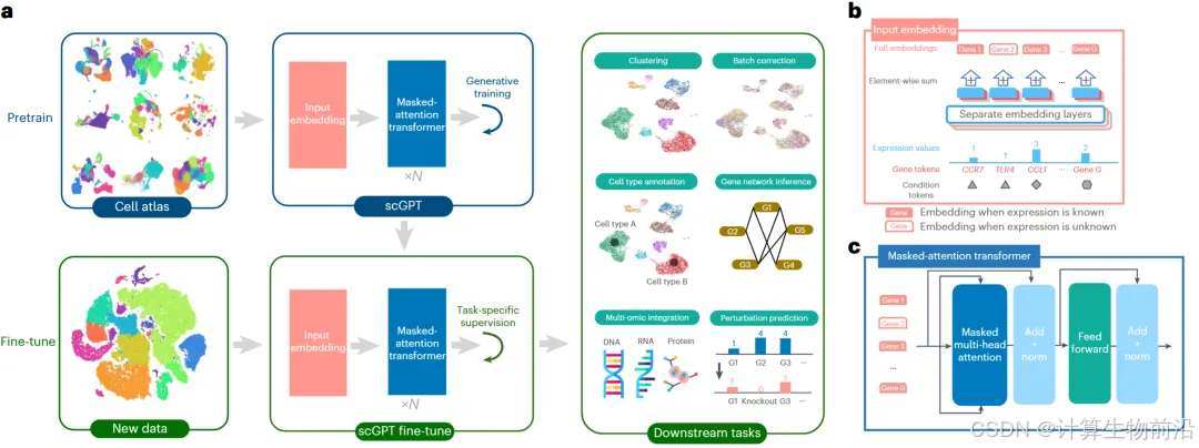 Nat. Methods | 单细胞大模型scGPT：助力单细胞多组学研究-CSDN博客