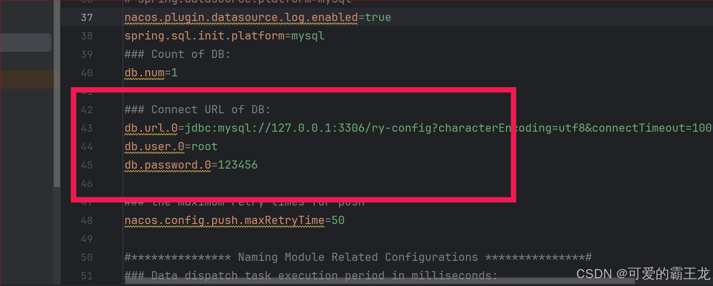 RuoYi-Cloud-Plus-2.X无废话，快速配置启动_ruoyi cloud plus-CSDN博客