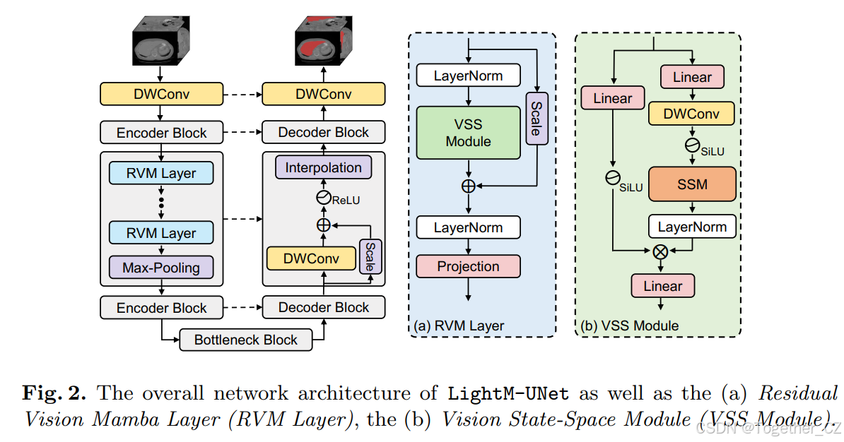 LightM-UNet: Mamba Assists in LightweightUNet for Medical Image ...