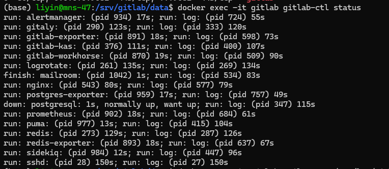 docker搭建的gitlab访问突然出现502的解决方式_gitlab 502-CSDN博客