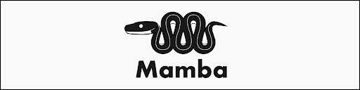Mamba：高性能包管理器的使用指南与对比分析_mamba install-CSDN博客