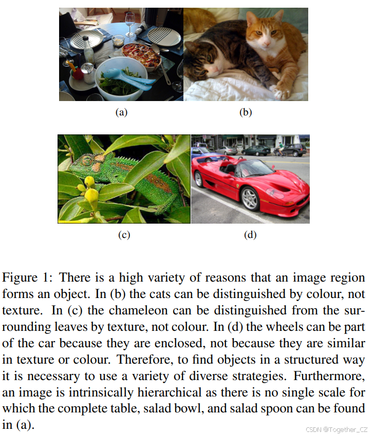 Selective Search for Object Recognition——物体识别的选择性搜索-CSDN博客