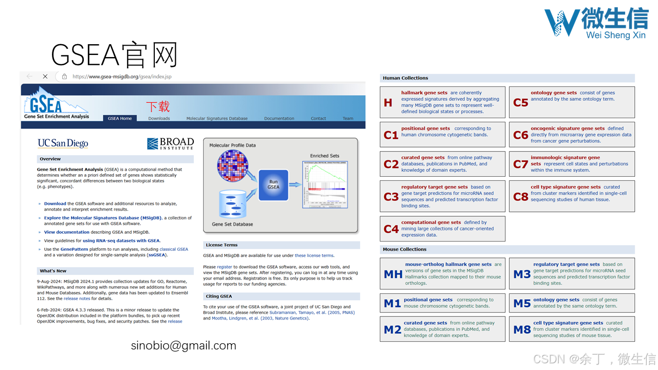 生信入门第十一课 ：基因集富集分析（ Gene Set Enrichment Analysis，GSEA）原理和R代码-CSDN博客