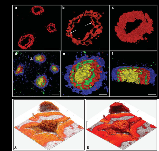 表征技术：飞行时间二次离子质谱（TOF-SIMS）-测试GO-CSDN博客