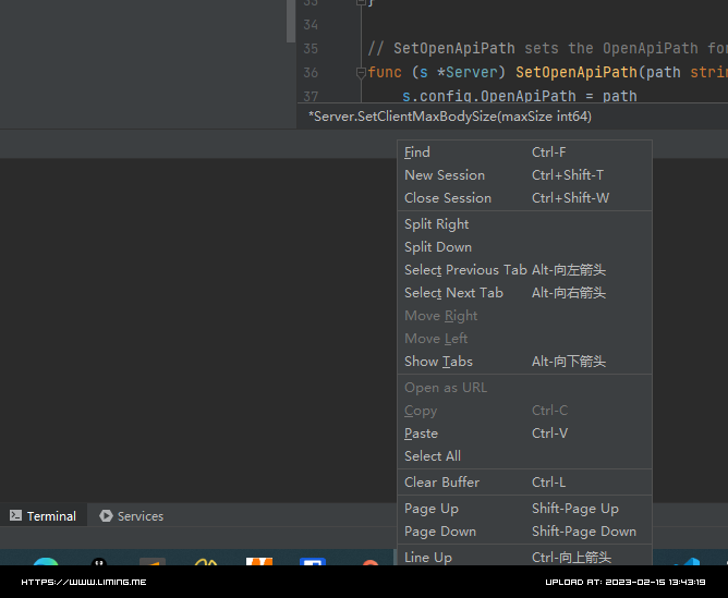 idea新版终端无法在Terminal中右键执行Clear Buffer的解决办法_idea terminal clear buffer不可用-CSDN博客
