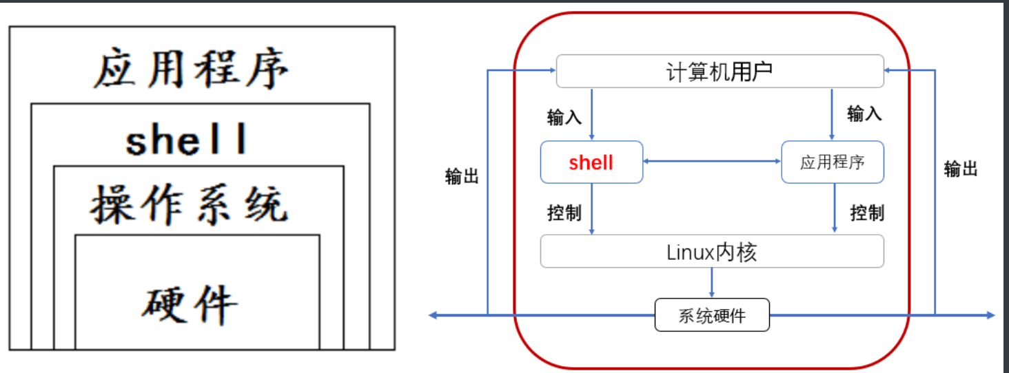小白向--shell命令学习day1_shell自学-CSDN博客