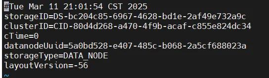 解决hadoop集群启动没有datanode_hadoop启动后没有datanode-CSDN博客