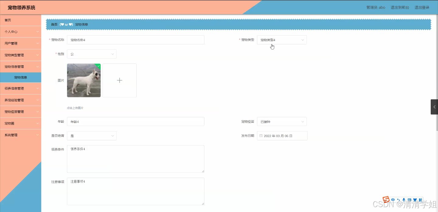 Java计算机毕业设计宠物领养系统（开题程序论文） Csdn博客
