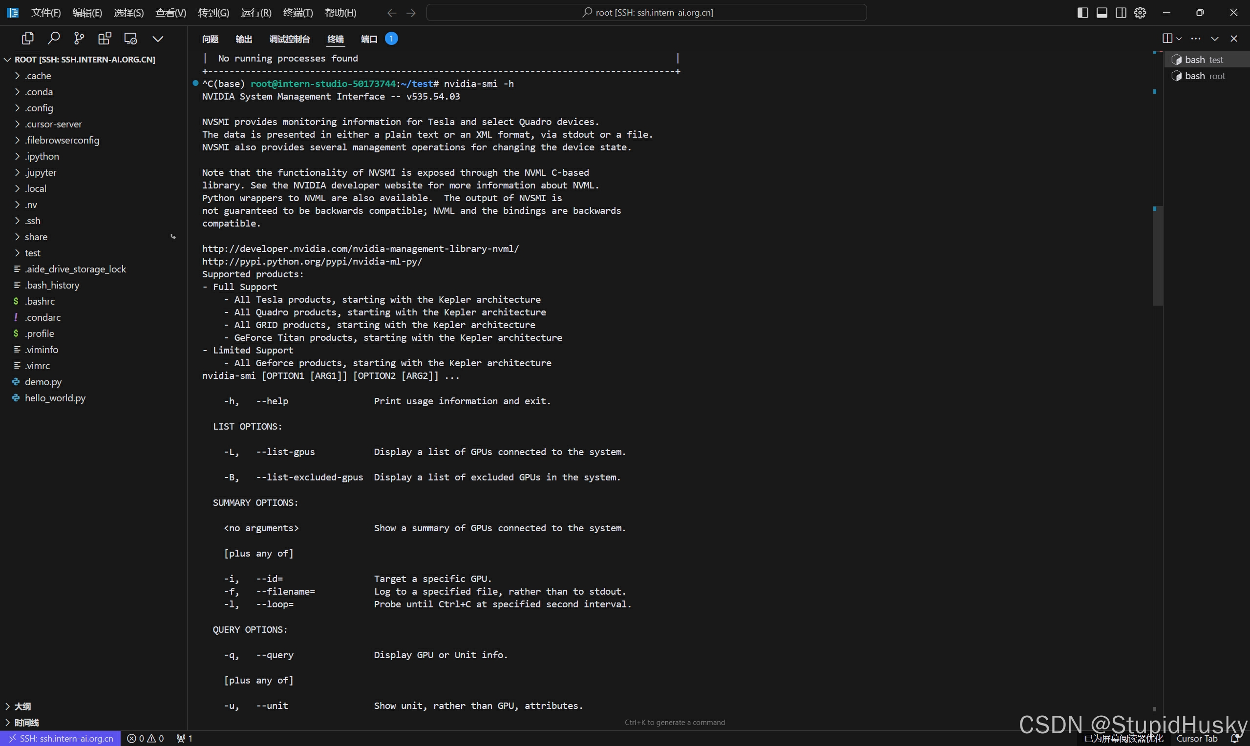 书生大模型实战营第4期 L0G1000-Linux基础知识 闯关作业-CSDN博客