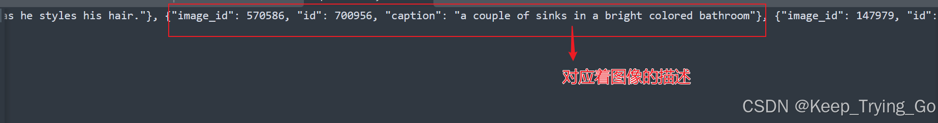 数据集Birds/CUB_200_2011，CC3M和COCO用于文本到图像生成的数据细节介绍_cc3m数据集下载-CSDN博客