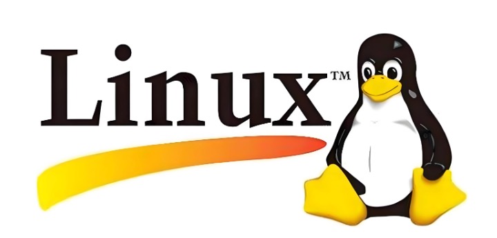 Linux 基础操作：用户身份、文件权限与权限修改命令全解析（跨发行版适配）_liunx 命令修改文件和目录的所有者权限-CSDN博客