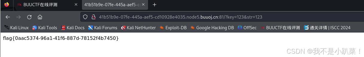 BUUCTF Web [ACTF2020 新生赛]BackupFile1-CSDN博客