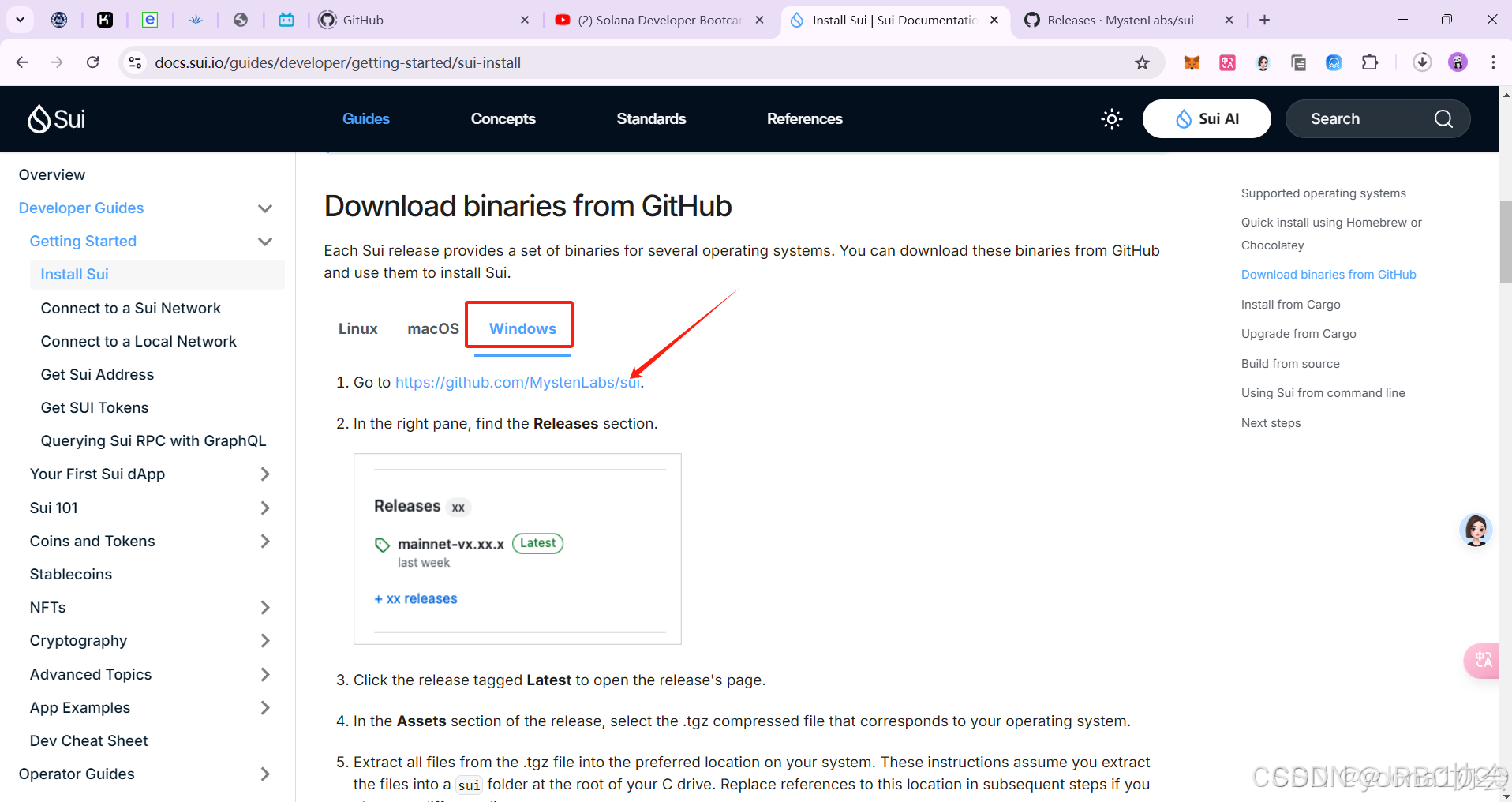 Sui学习_sui文档-CSDN博客