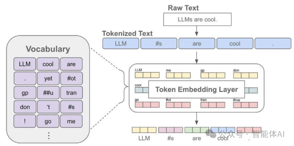 【科普】理解 “Token“ 与分词器：学懂 Transformer 的关键顿悟时刻！_中文在transformer里怎么分词-CSDN博客