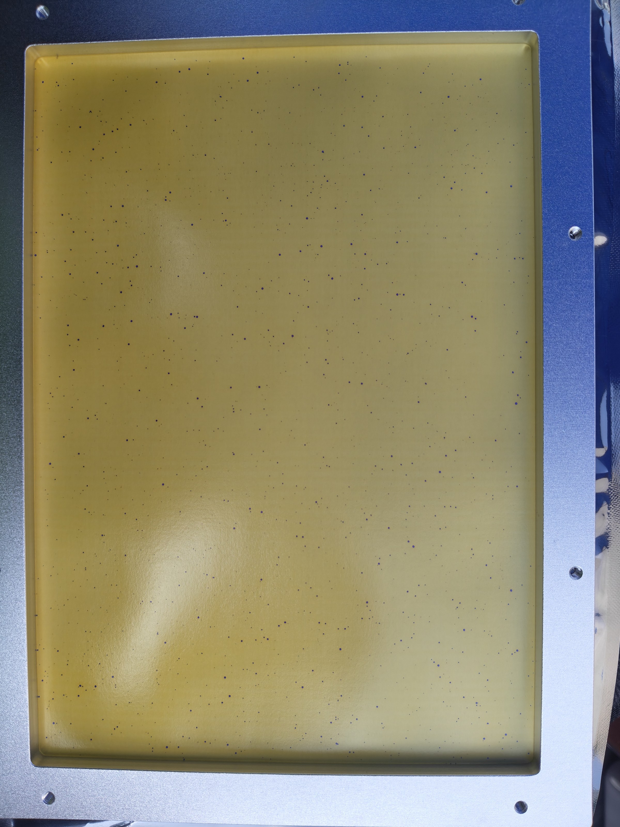 别再手动数点了：用 Python + OpenCV 自动统计图片中的蓝色小点-CSDN博客