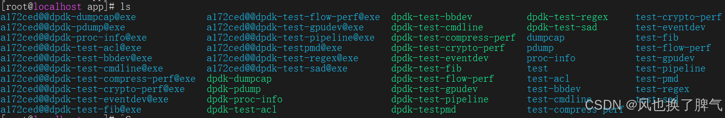DPDK抓包工具dpdk-pdump使用教程-CSDN博客