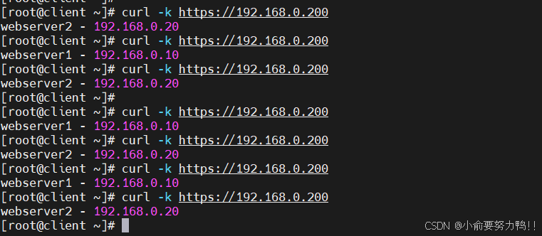 LVS（Linux Virtual Server）_lvs官网-CSDN博客