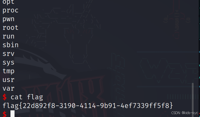 buuctf pwn ciscn_2019_n_81-CSDN博客