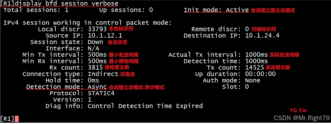 BFD-Static_bfd static peer-CSDN博客