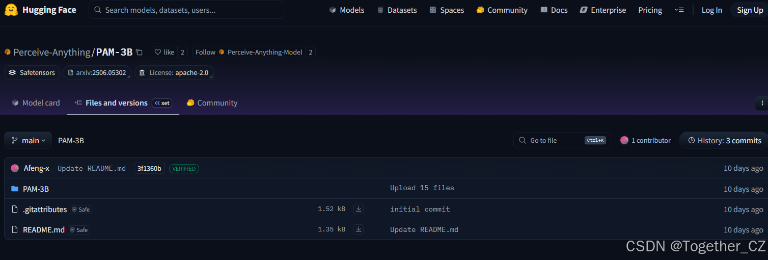 PAM：Perceive Anything: Recognize, Explain, Caption, and Segment Anything in Images and Videos感知 ...