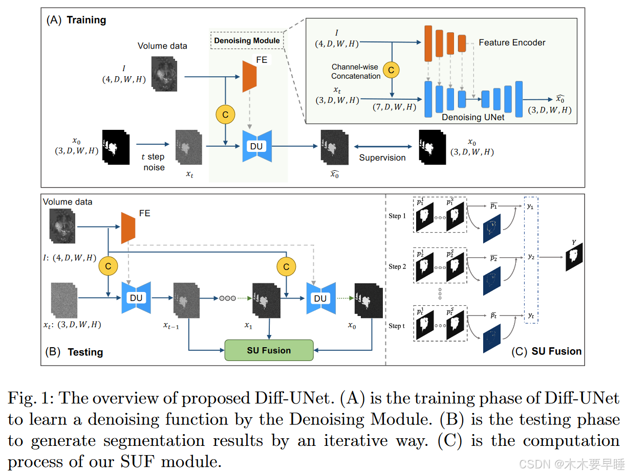【Diffusion分割】Diff-UNet：用于体积分割的Diffusion网络-CSDN博客