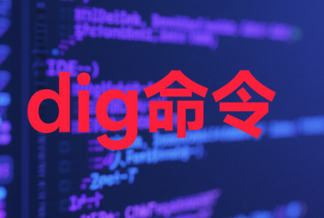 解决“dig命令不可用”的跨平台指南_dig不是内部或外部命令-CSDN博客