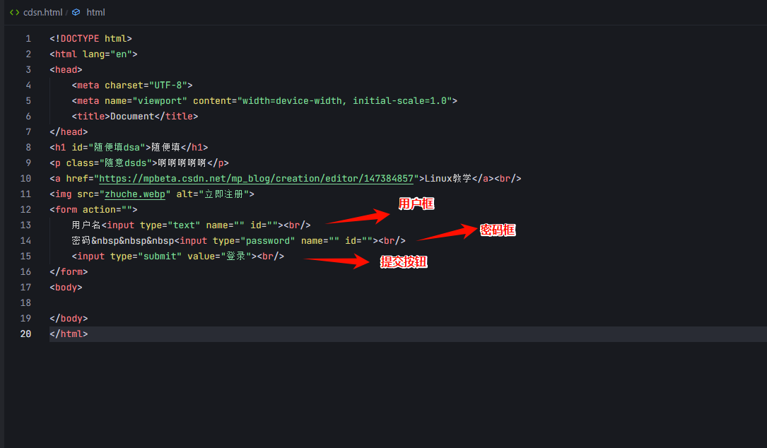 从零开始：网络安全小白的成长日记【Web前端基础】-CSDN博客