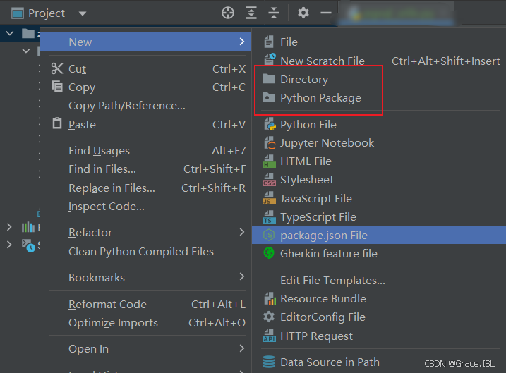 pycharm在创建项目中，package和directory有什么区别，在一个项目中应该怎么创建？_pycharm中directory和python package区别-CSDN博客