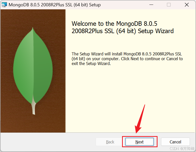 安装备忘录：MongoDB_mongodb compass下载-CSDN博客