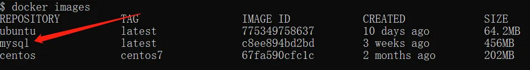 Docker-MySQL_docker 查看 mysql 可拉取版本-CSDN博客