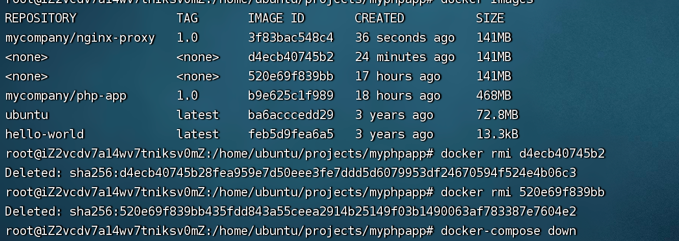 2.docker使用：将 PHP 项目与 Nginx + PHP-FPM 环境一起打包为一个 自定义 Docker 镜像_docker php-fpm-CSDN博客