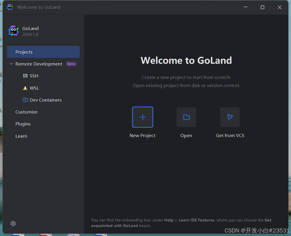 Golang开发 goland 编译器安装 并且配置环境_goland环境配置-CSDN博客