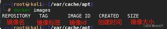 【只需一条命令】kali安装docker环境（包含使用范例）_kali docker-CSDN博客