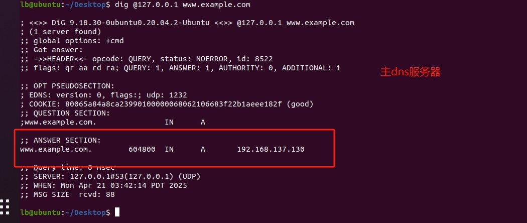 Ubuntu（Linux）环境中DHCP分配IP地址和搭建主从DNS服务器_ubuntu dhcp服务器搭建-CSDN博客