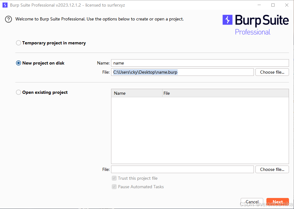 Burp一把梭之她不为人知的一面_burp decoder解密-CSDN博客