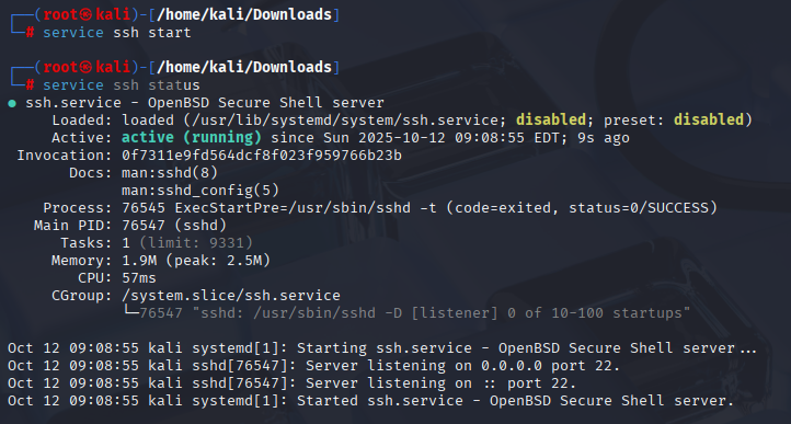 HexStrike AI 部署教程-CSDN博客