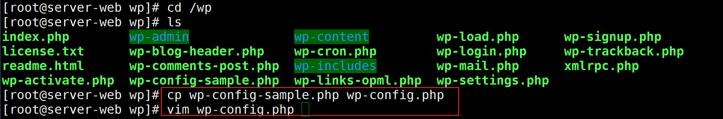 使用NGINX、NFS、DNS服务器搭建wordpress博客项目_wordpress dns配置-CSDN博客