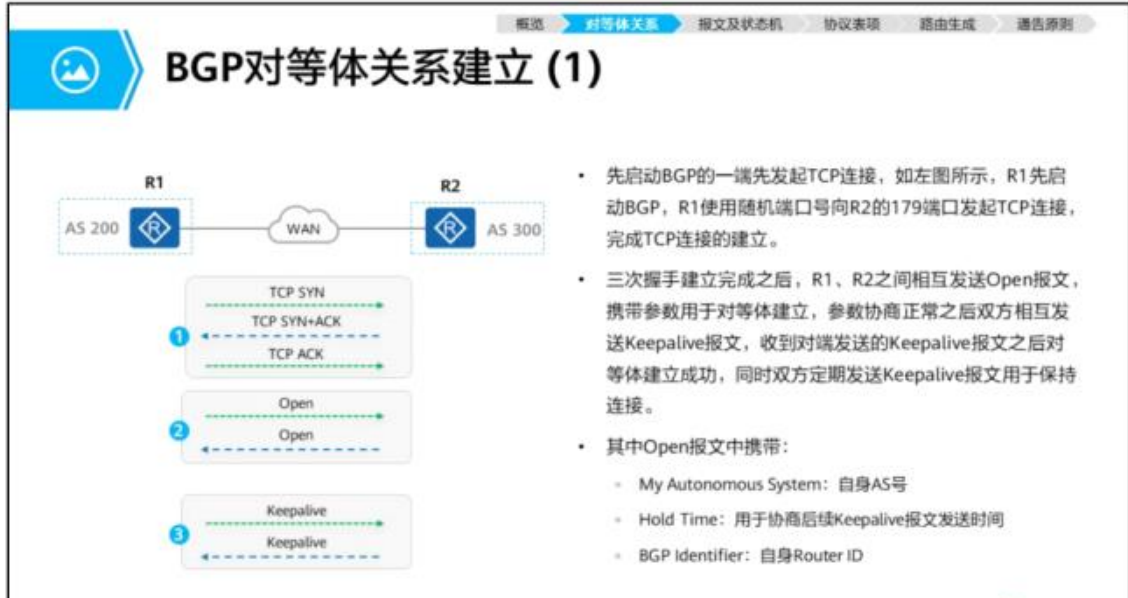一看就会的BGP基础使用_怎么才能 用bgp-CSDN博客