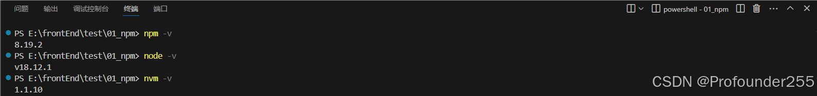 安装nvm后VScode中node.js、npm等环境变量“丢失“的问题_vscode终端环境变量-CSDN博客