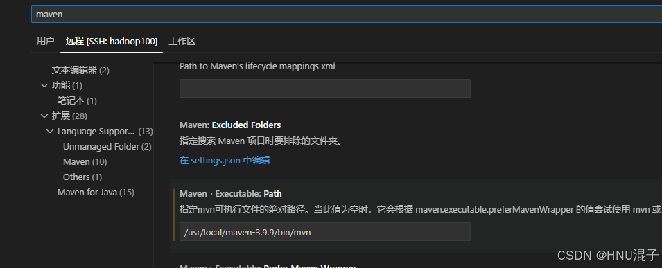 HDFS学习04-Vscode+Java+hdfs的环境配置，通过代码来操作HDFS_vscode hadoop hdfs-CSDN博客