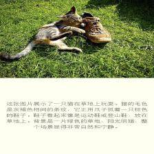 RoBERTa: A Robustly Optimized BERT Pretraining Approach【简单分析】-CSDN博客