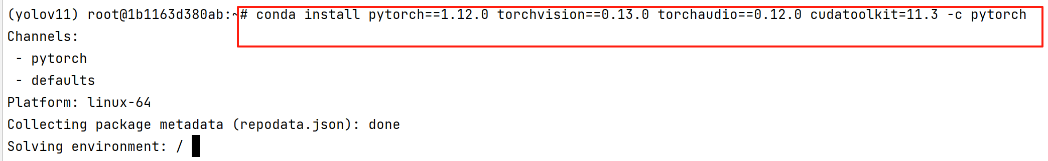 PyCharm远程连接Ubuntu，docker容器的数据盘，安装miniconda 创建环境，部署模型_docker部署miniconda-CSDN博客