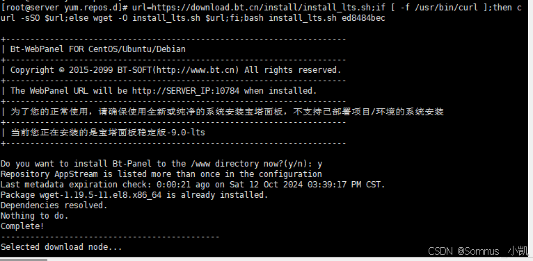 手把手教你-Centos8Stream更换国内源安装宝塔_centos8 stream-CSDN博客